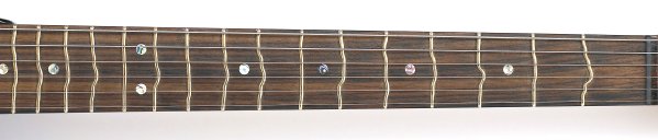 Das Wohltemperirte Gitarre